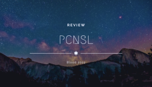 中枢神経系原発悪性リンパ腫（PCNSL）まとめ | 医学放浪記