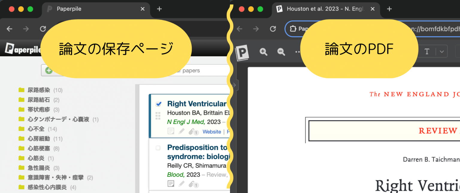 論文を1クリックで保存＆活用するツール【Paperpile】 | 医学放浪記