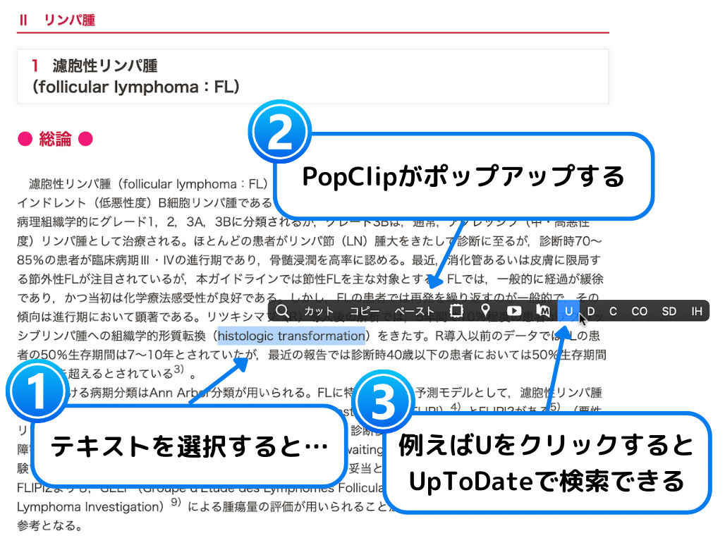 検索にかかる時間を1秒短くするツール【PopClip】 | 医学放浪記